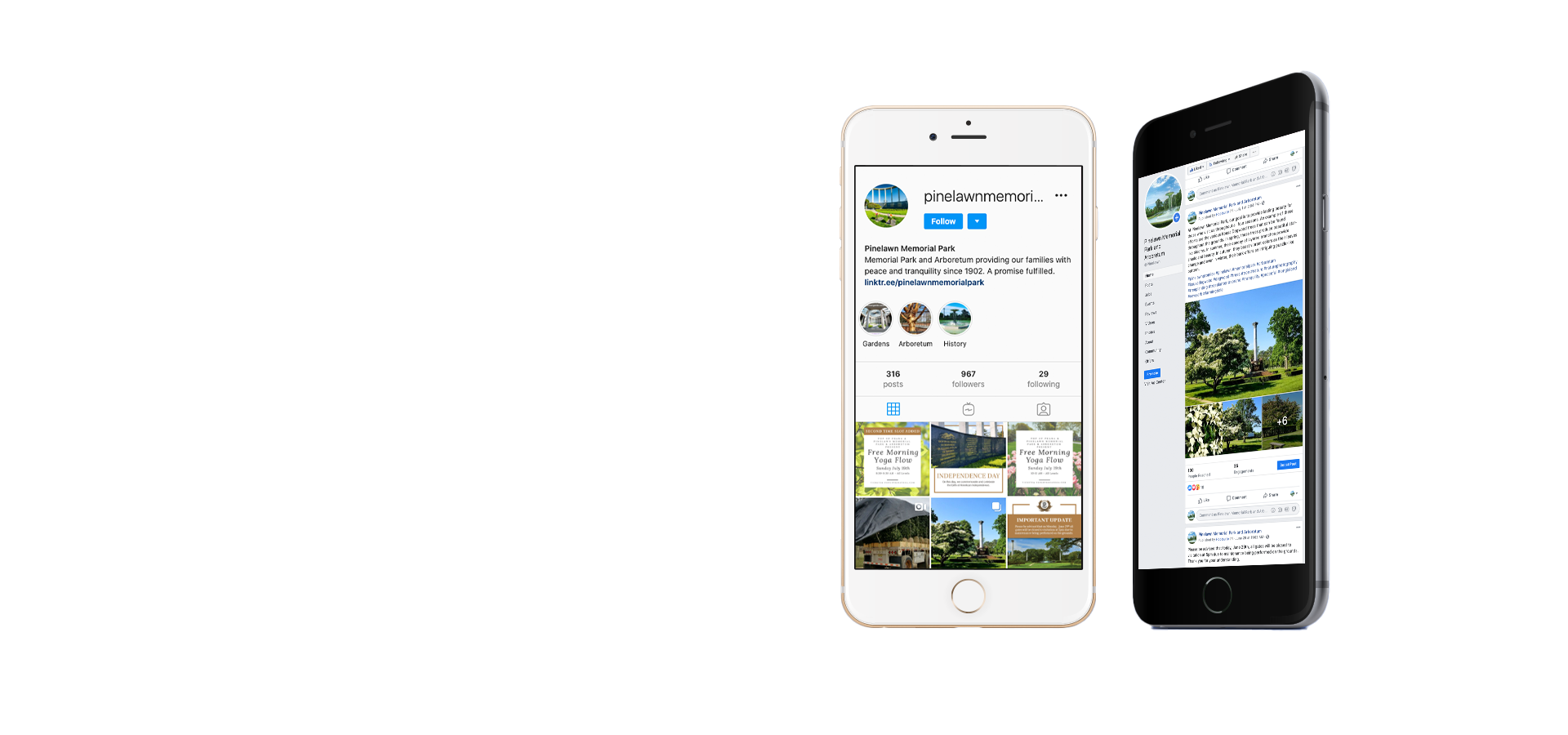 Social Media Content Creation, Creative & Engaging Posts | IdeaStream ...